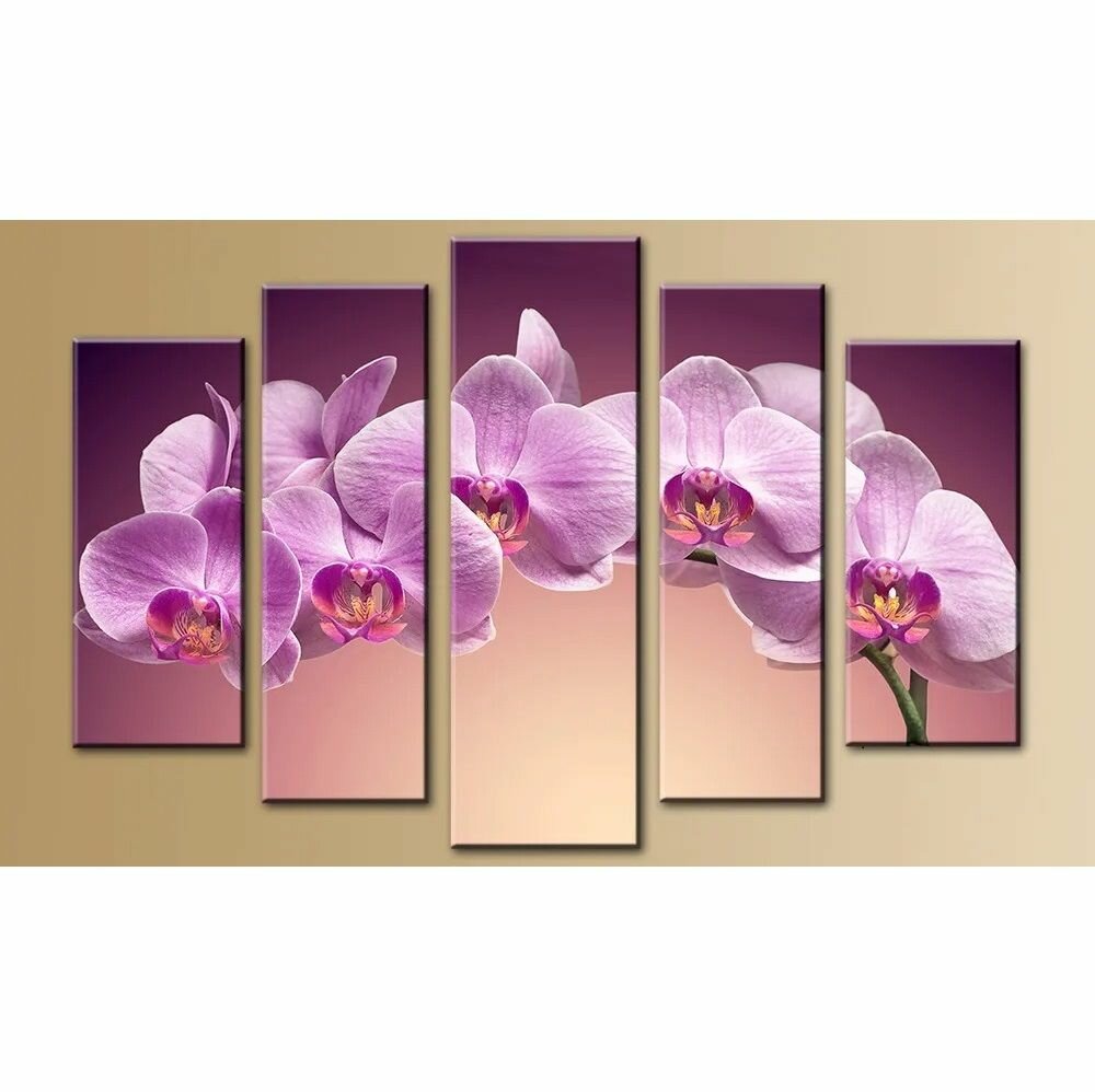 Модульная картина modul007 для интерьера на стену "Цветущая орхидея" 140х80 см, 5 модулей, декор комнаты на подрамнике