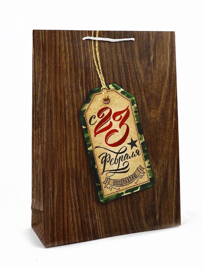 Пакет подарочный ламинированный «С 23 февраля», L 28×38×9 см
