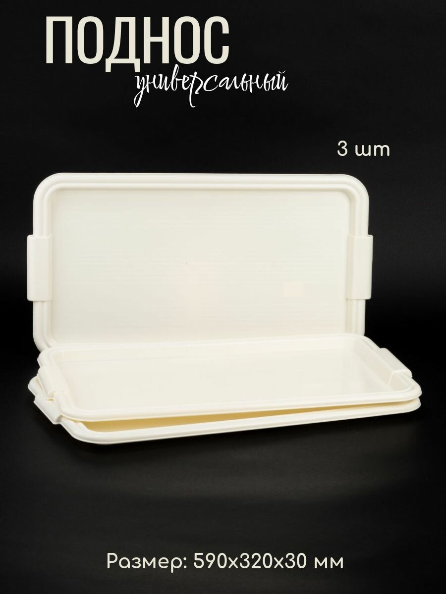 Поднос пластиковый универсальный 59*32 см 3 шт