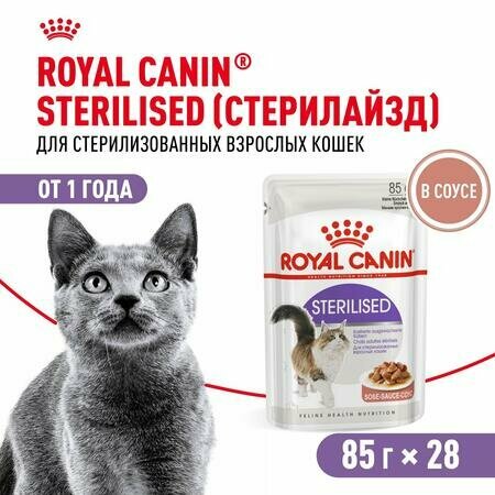 ROYAL CANIN STERILISED 28 шт по 85 г кусочки в соусе, влажный корм для стерилизованных кошек и кастрированных котов