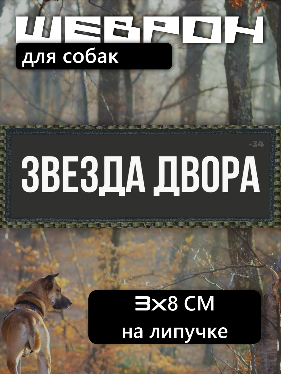 Шеврон на липучке для собак Надпись