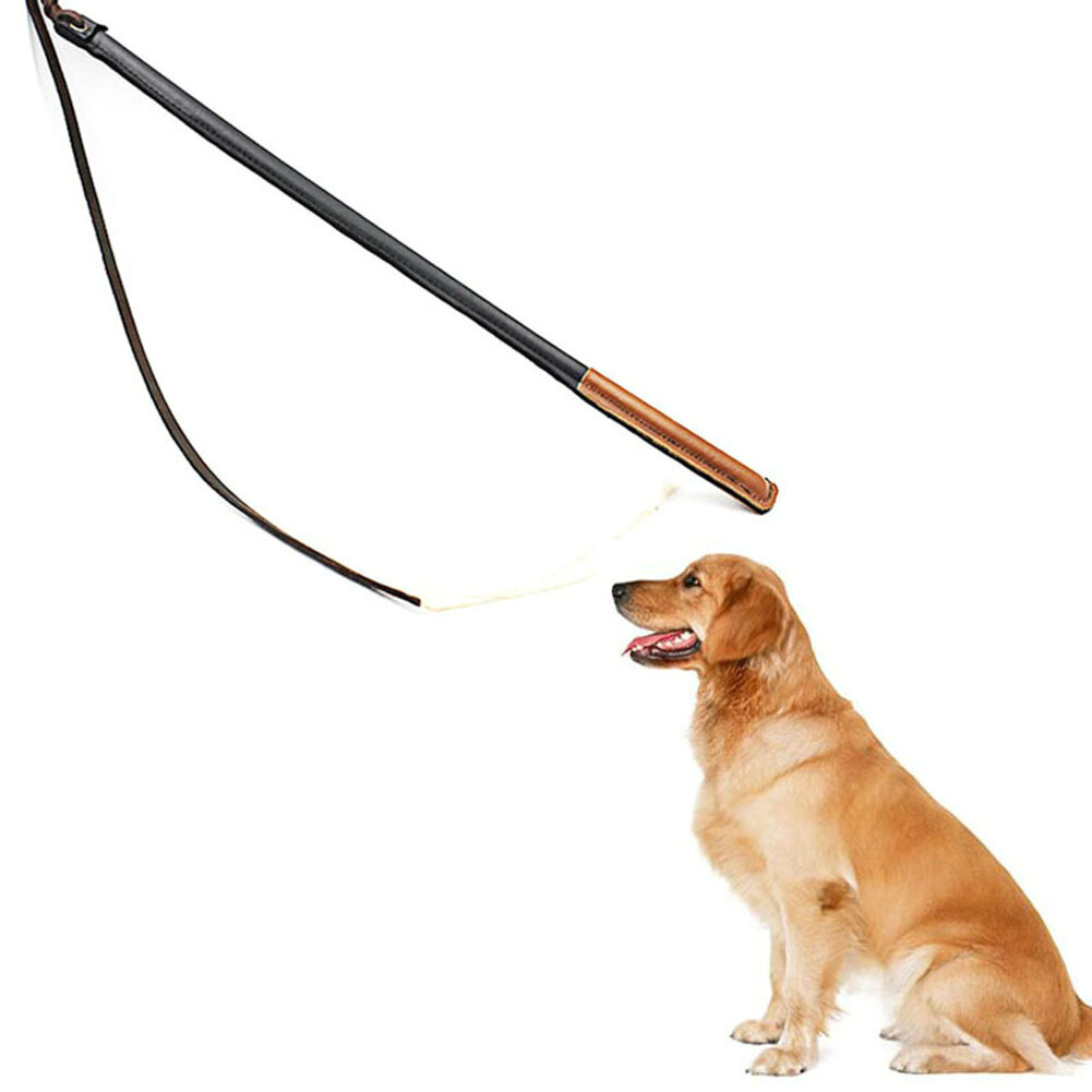 Imitation Leather Dog Training Whip Professional Tool with Handle Pet Supplies