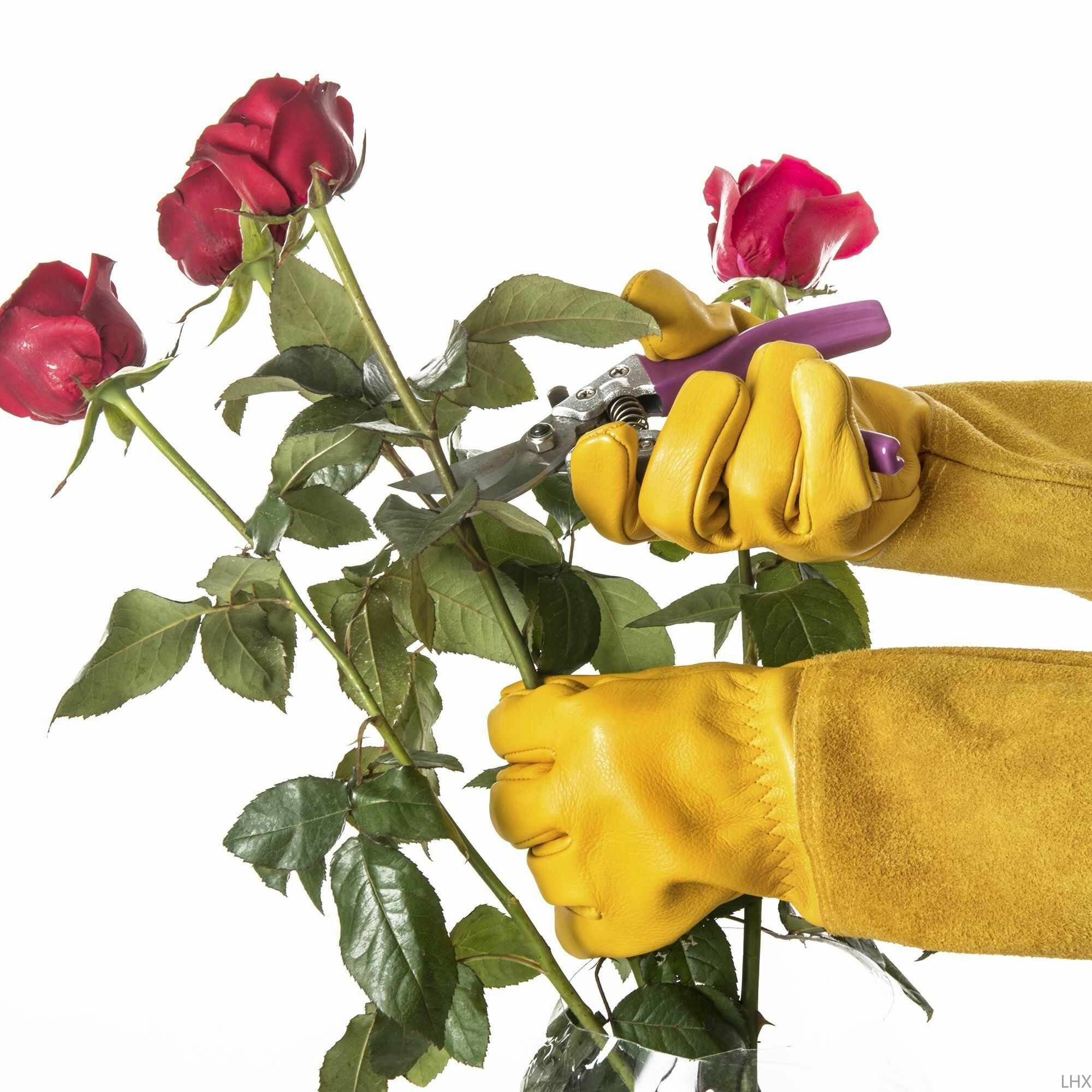 Перчатки садовые для роз кожаные