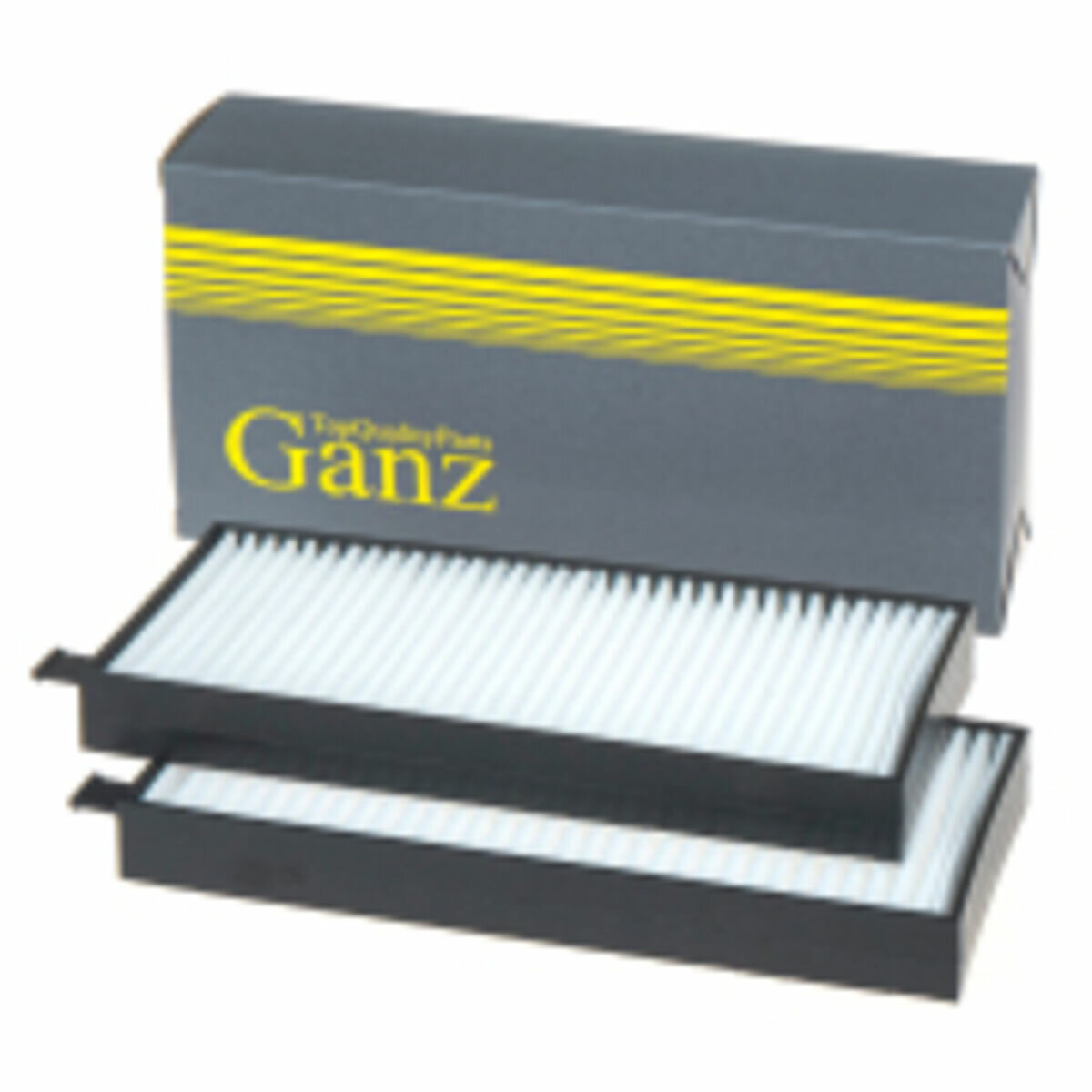 Фильтр Салонный, 2Шт Ssangyong Actyon, Kyron(Ganz Gir03216)