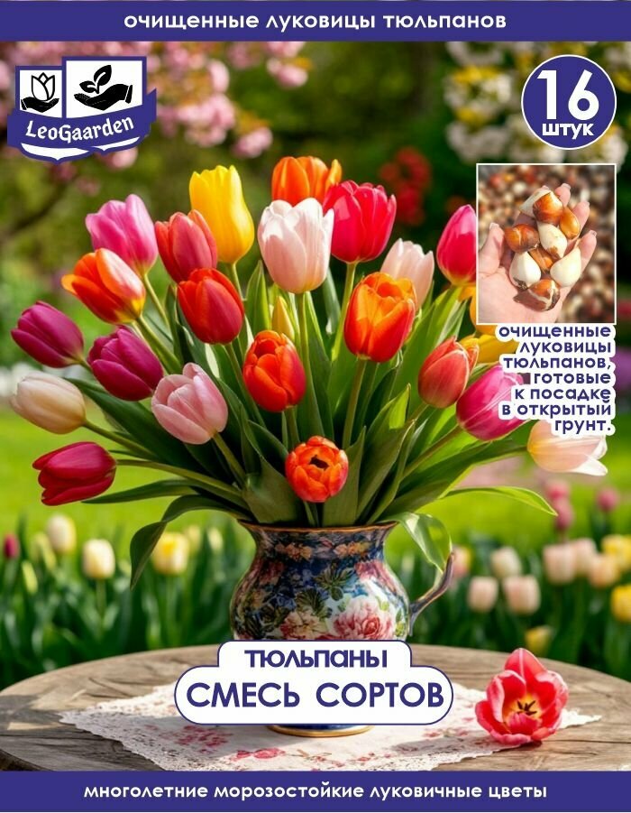 Тюльпан Луковицы крупные , Микс сортов, 16шт