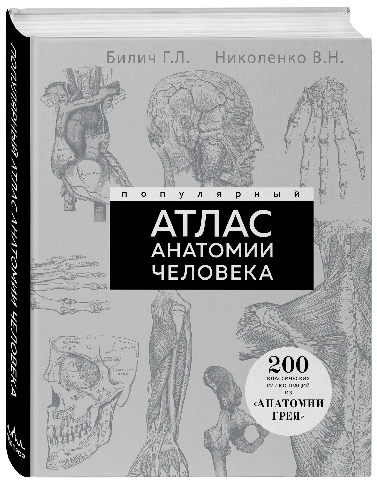 Популярный атлас анатомии человека: 200 классических иллюстраций из «Анатомии Грея»