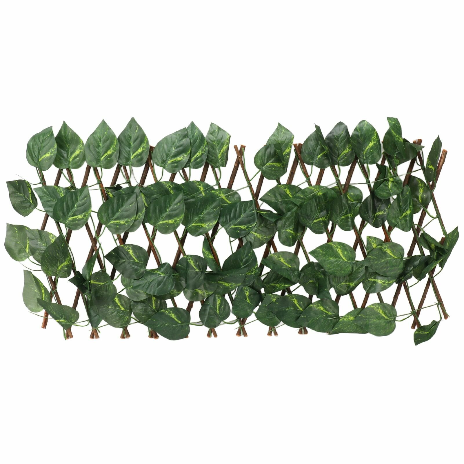 Искусственная изгородь Epipremnum Aureum