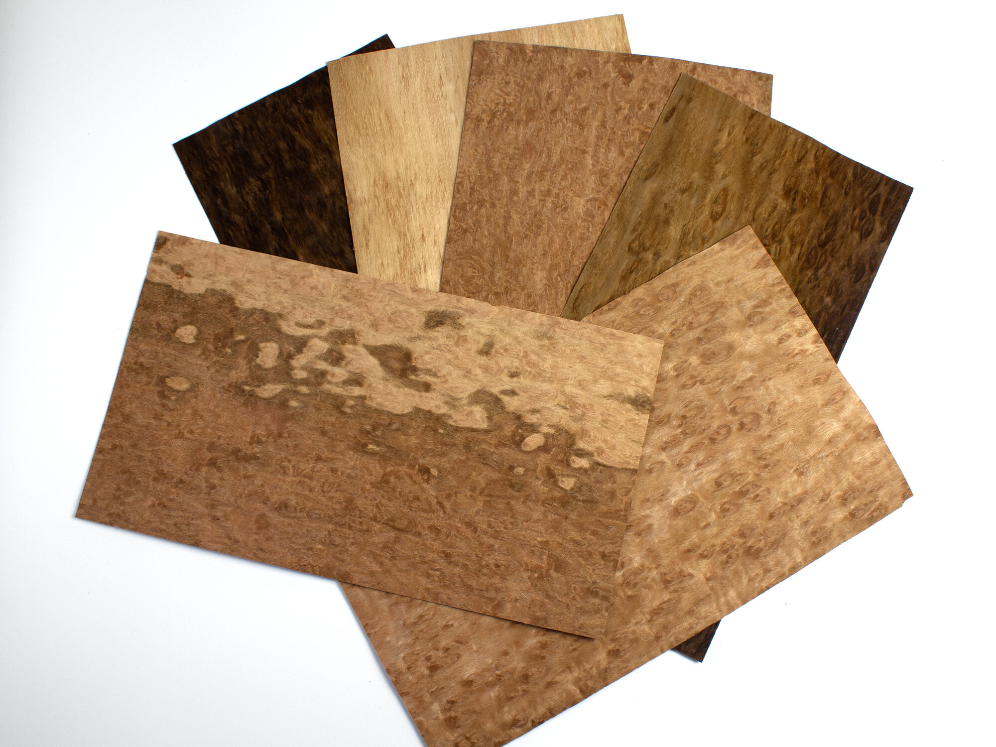 Набора шпона Эвкалипта капового толщиной 0.6мм, 6 листов, длина 360мм