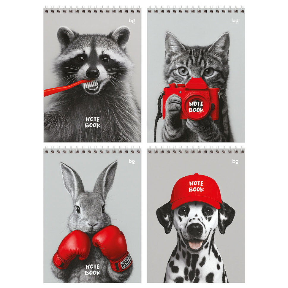 Блокнот А5 60л. на гребне BG "Pet and red", твердая подложка, 12 штук, 385097