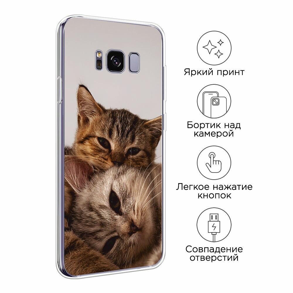 Чехол на Samsung Galaxy S8 + / Самсунг Галакси С8 Плюс с принтом "Нежные котята - 14 февраля" — фото 1