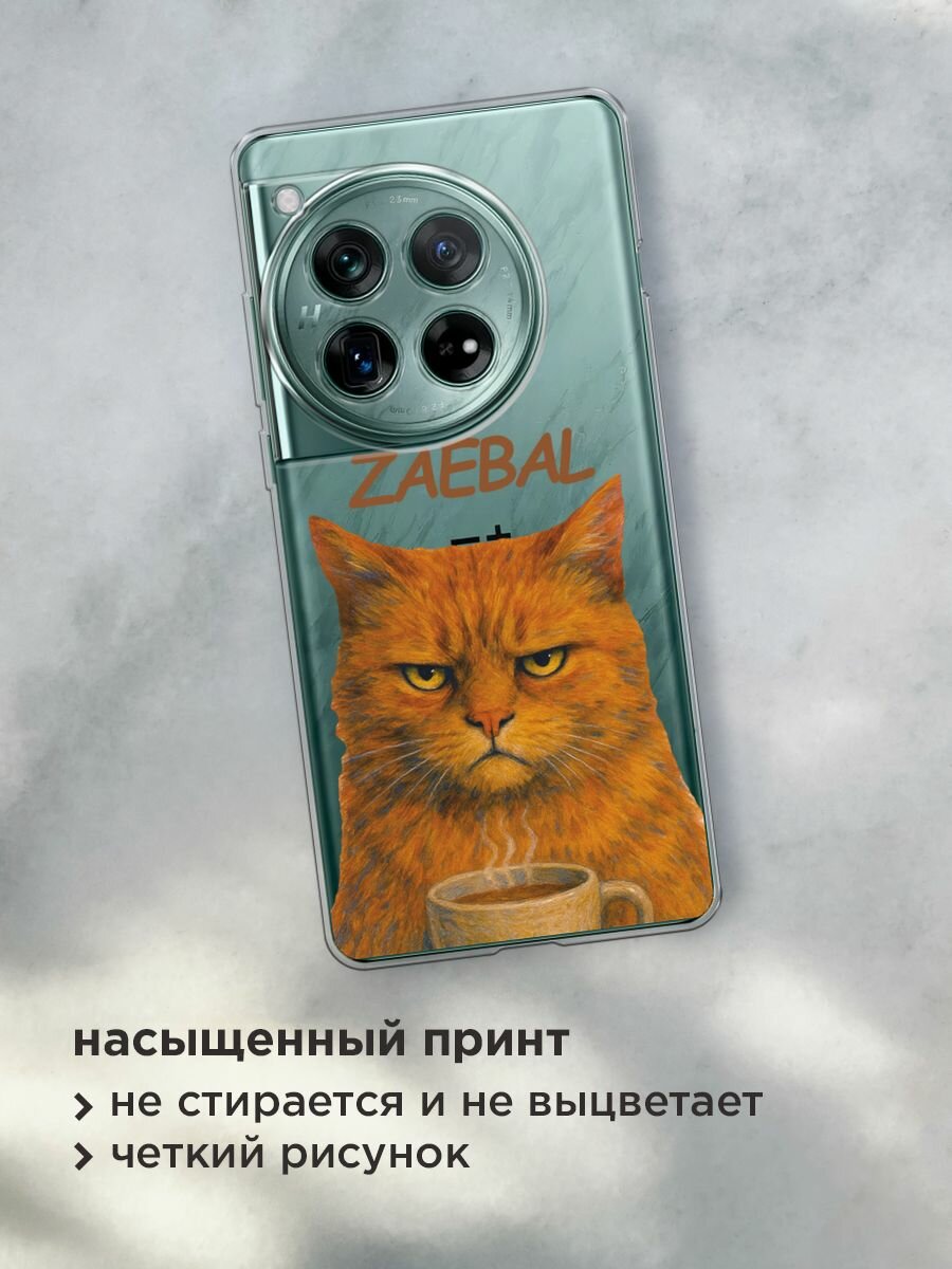 Чехол на OnePlus 12 / Ван Плас 12 с принтом "Рыжий кот с надписью", прозрачный — фото 1