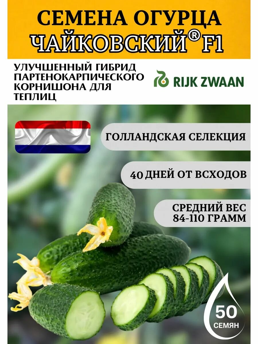 Семена огурца Чайковский F1 50 штук ранний гибрид партенокарпический