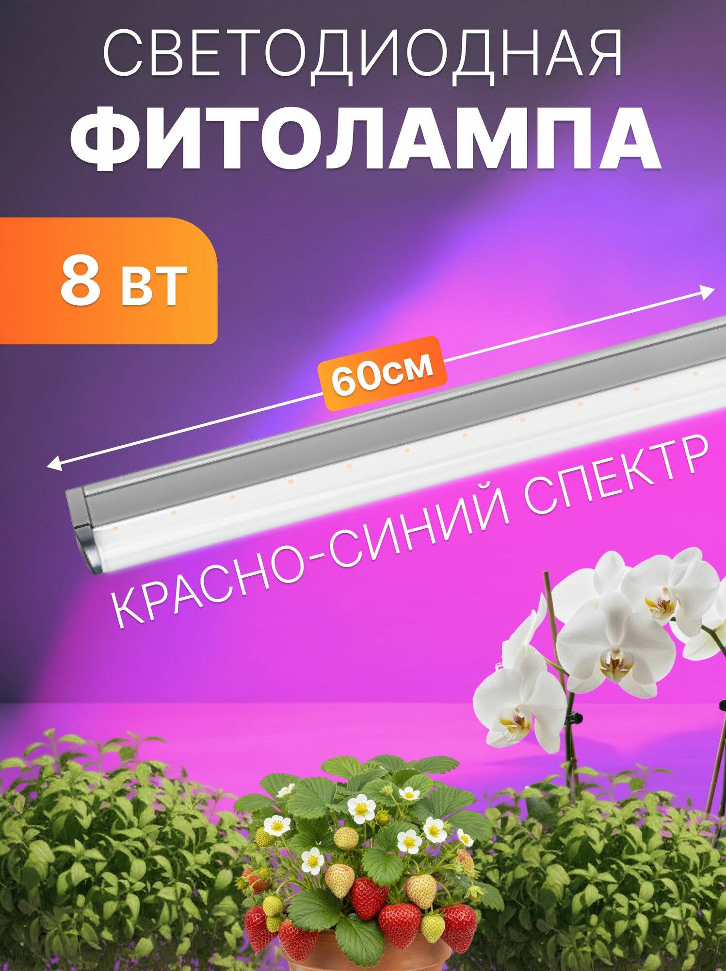 Фитолампа для растений, для рассады красно-синий спектр, T8i 8w Jazzway