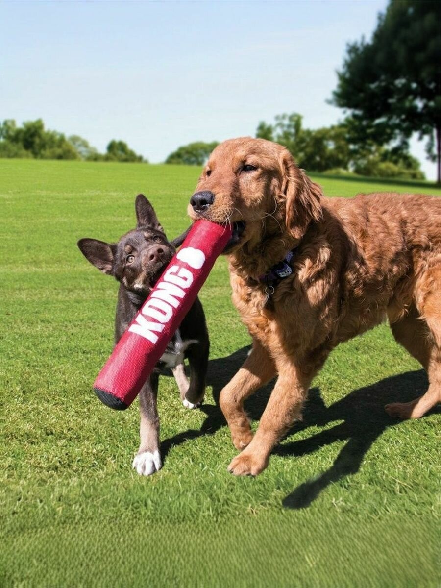 Kong Signature Stick апортировочная палка для собак с веревкой