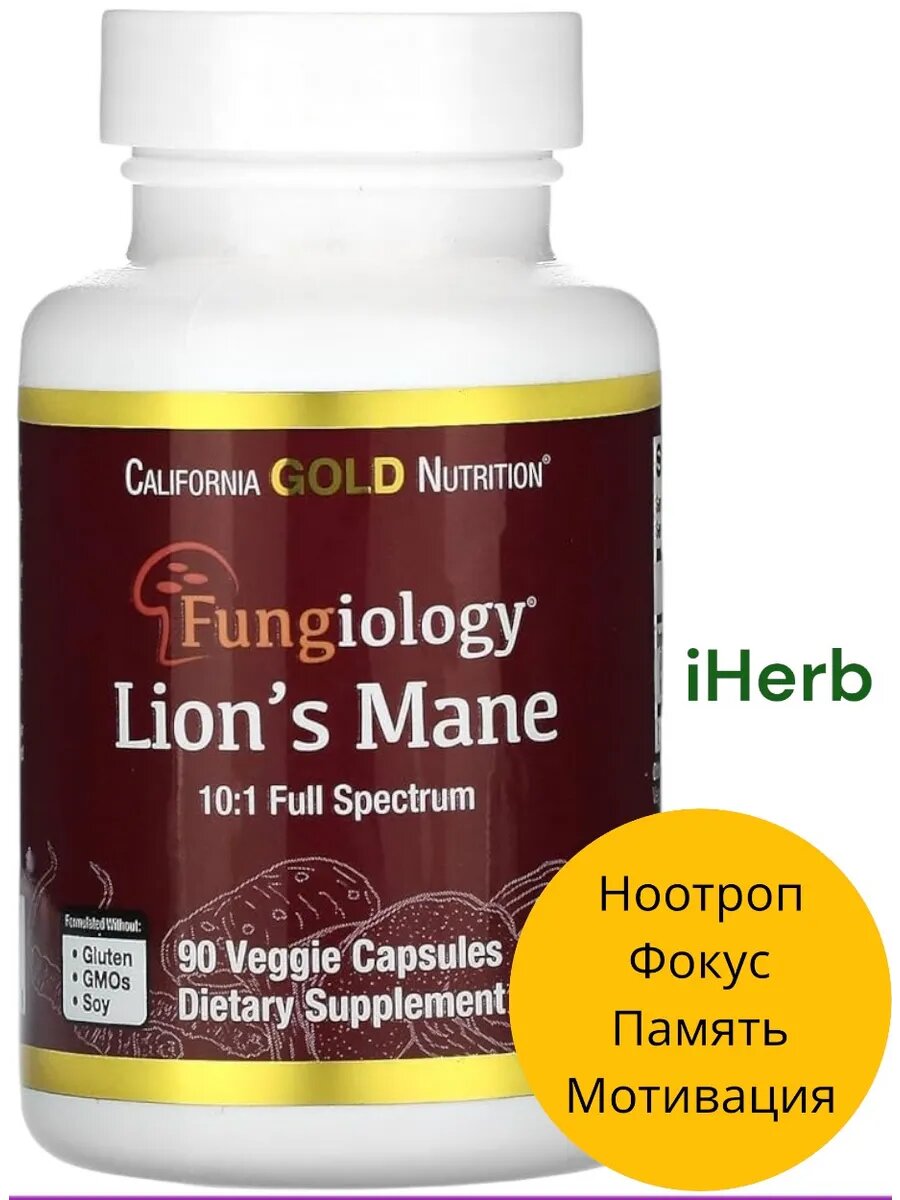 Ежовик гребенчатый сша ноотроп