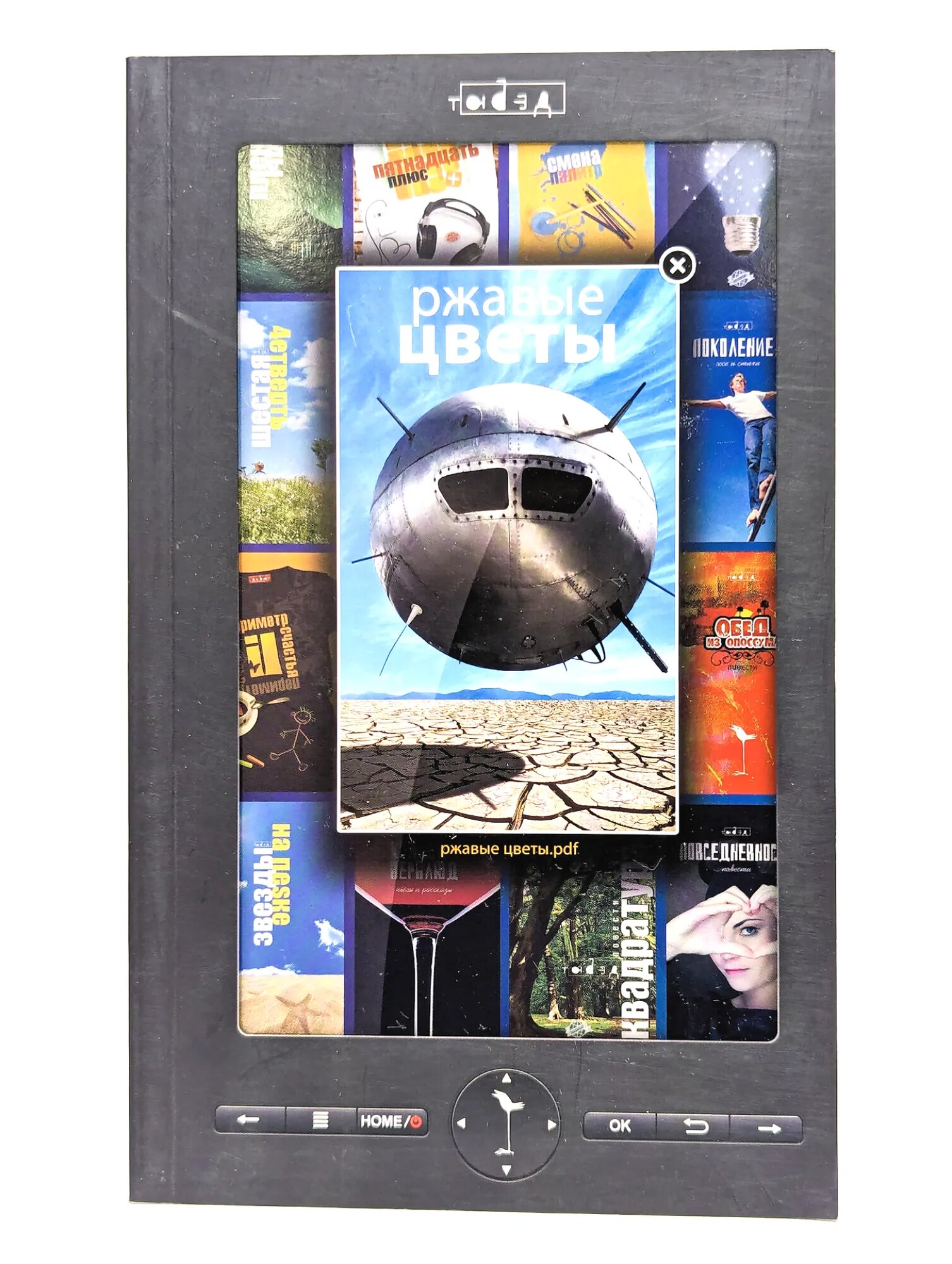 Ржавые цветы Титаренко Анастасия Дмитриевна 2012