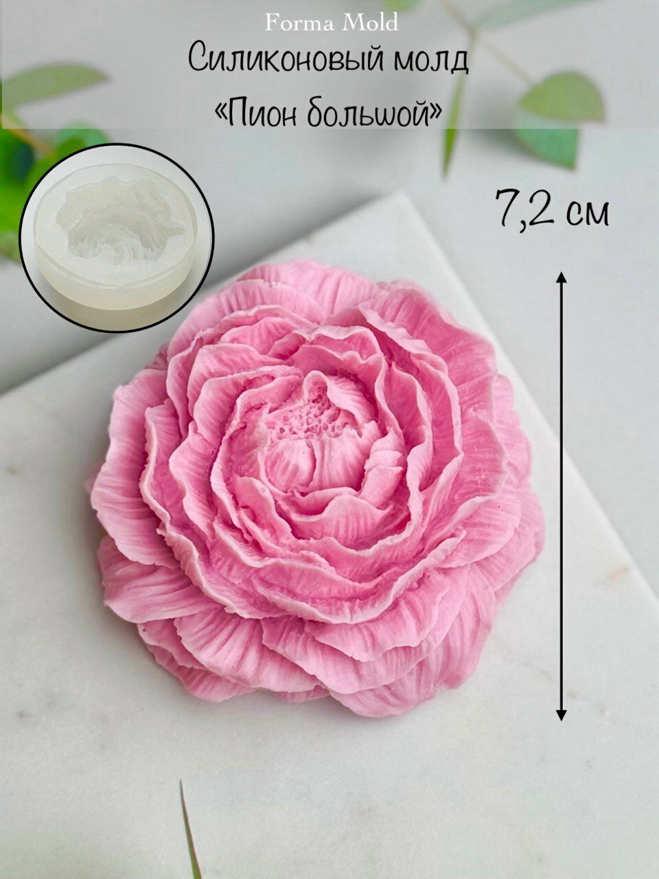 Молд пион большой