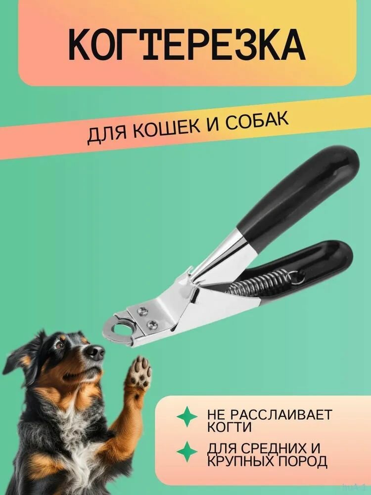 Когтерез
