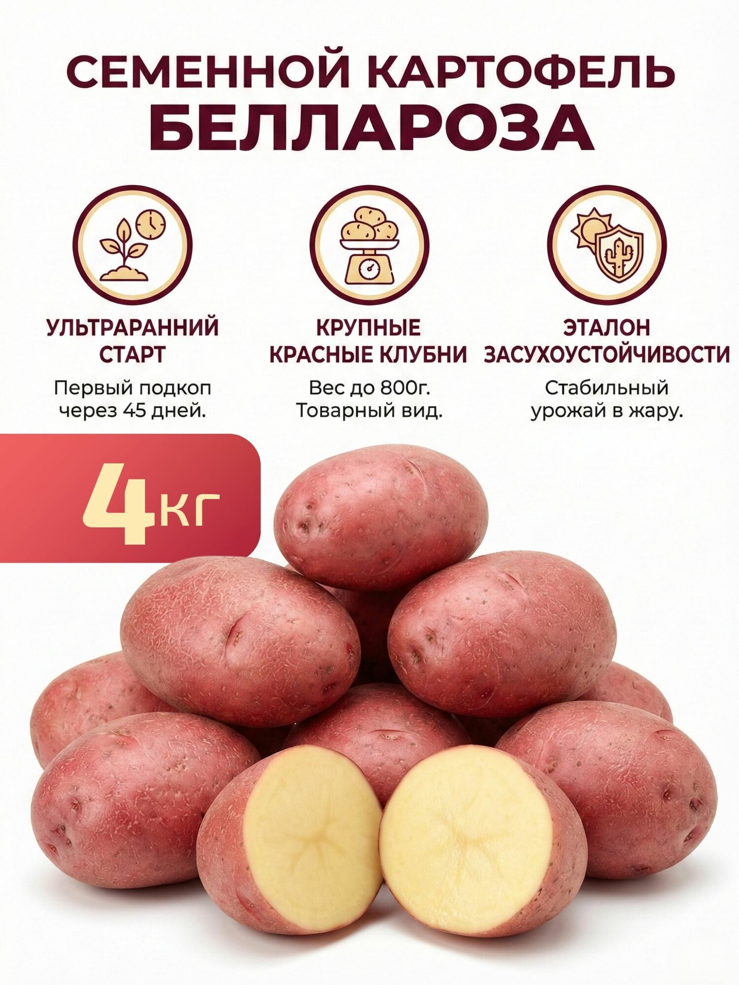 Картофель семенной Беллароза 4 кг клубни на посадку ранний скороспелый сорт для жарки, супов, салатов
