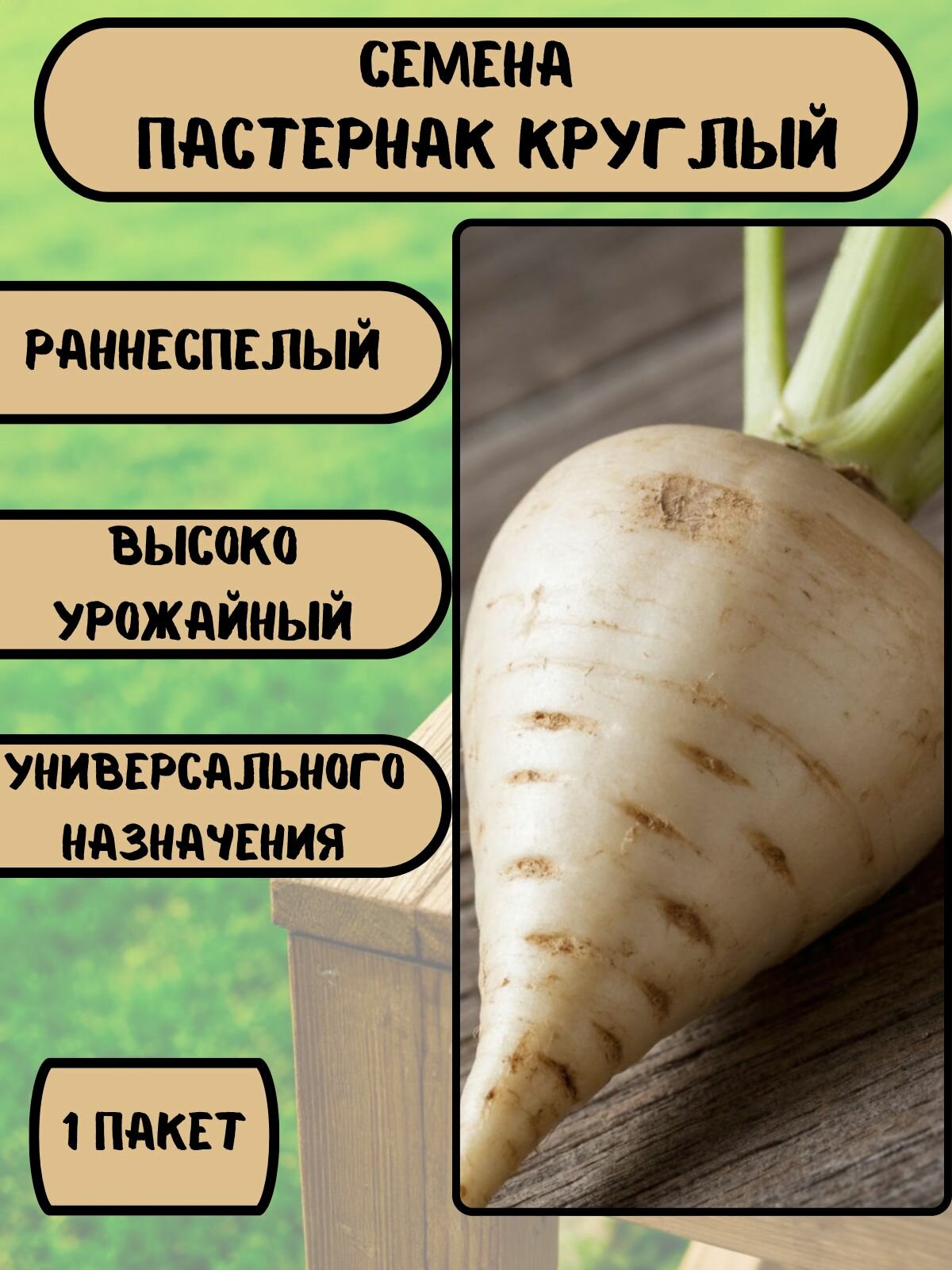 Пастернак Круглый, семена 10 шт