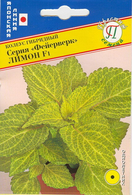 Семена Колеуса престиж Фейерверк лимон F1, высокорослый, 10 шт