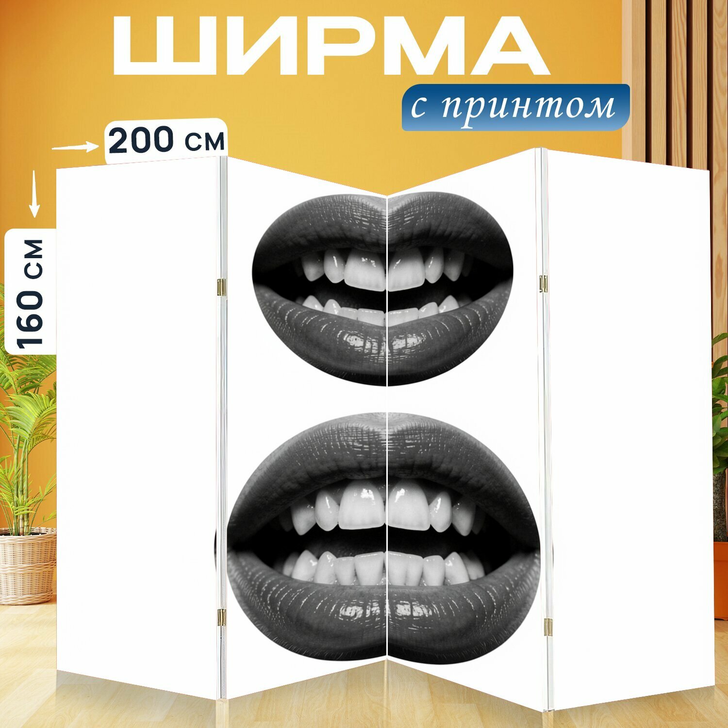 Ширма "Чёрно-белые губы и улыбки. Минималистичный монохромный коллаж с двумя крупными фрагментами рта." перегородка для зонирования комнаты с принтом 200x160 см. на холсте