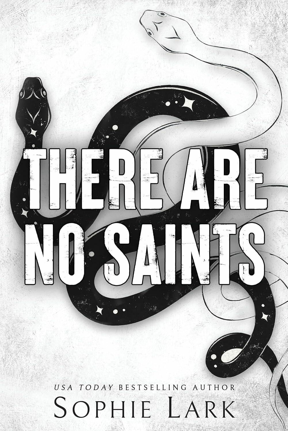 There Are No Saints (Sinners Duet, 1) Reprinted books