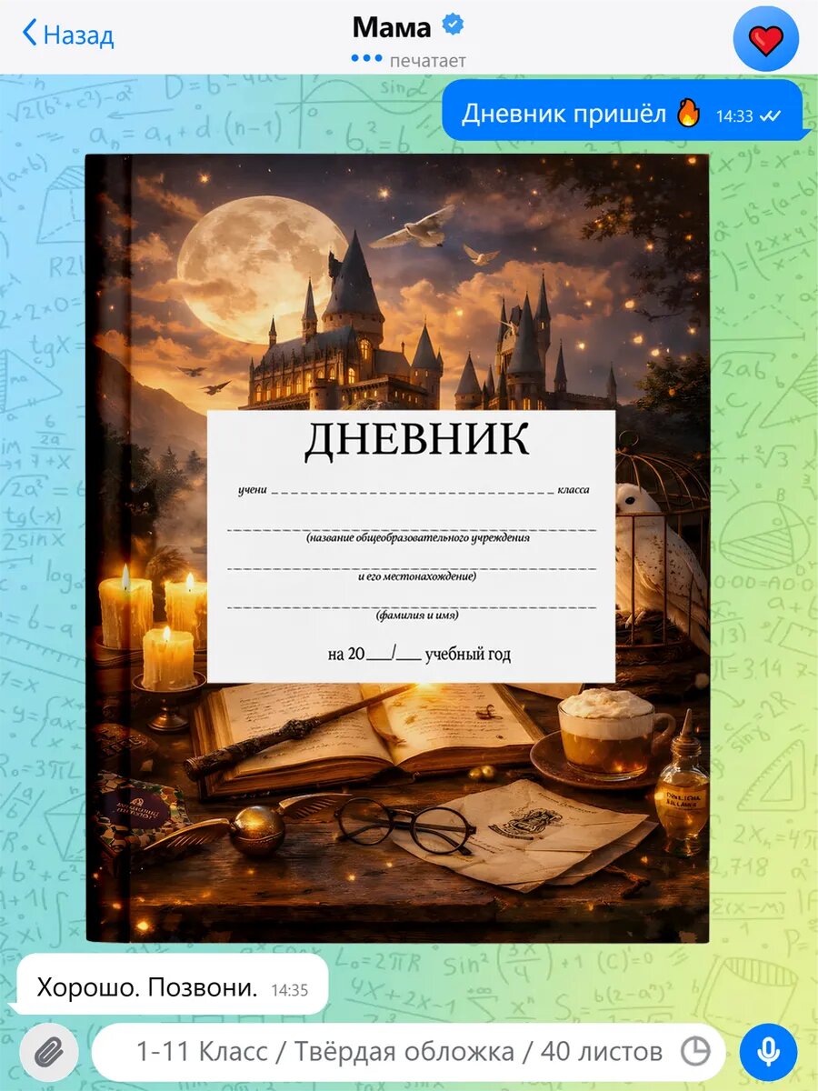 Школьный дневник с принтом Гарри Поттер