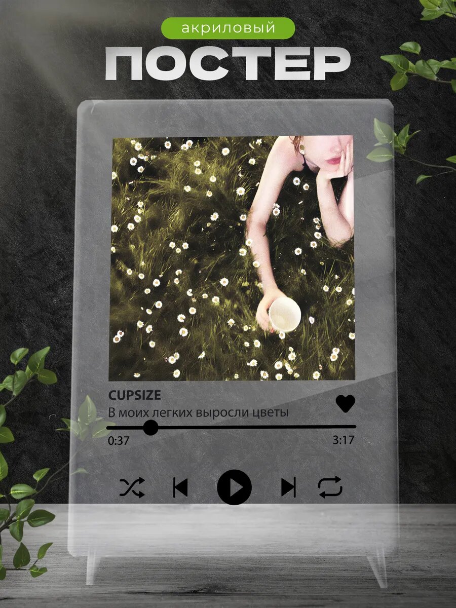 Акриловый постер, открытка подарочная на подставке с цветным принтом Капсайз постер