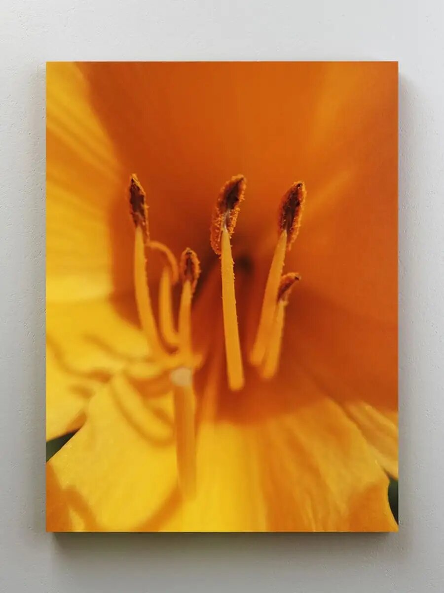Интерьерная картина на холсте "Крупным планом желтый цветок с лепестками и пыльца" размер 30x40 см