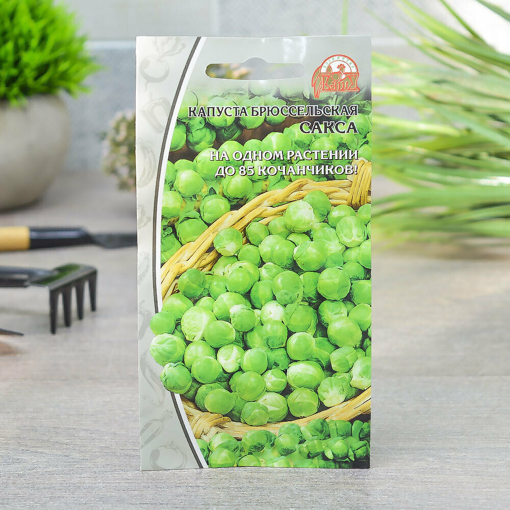 Семена капусты брюссельской 'Сакса' позднеспелой, 0,2г, 10 шт — до 85 кочанчиков с растения