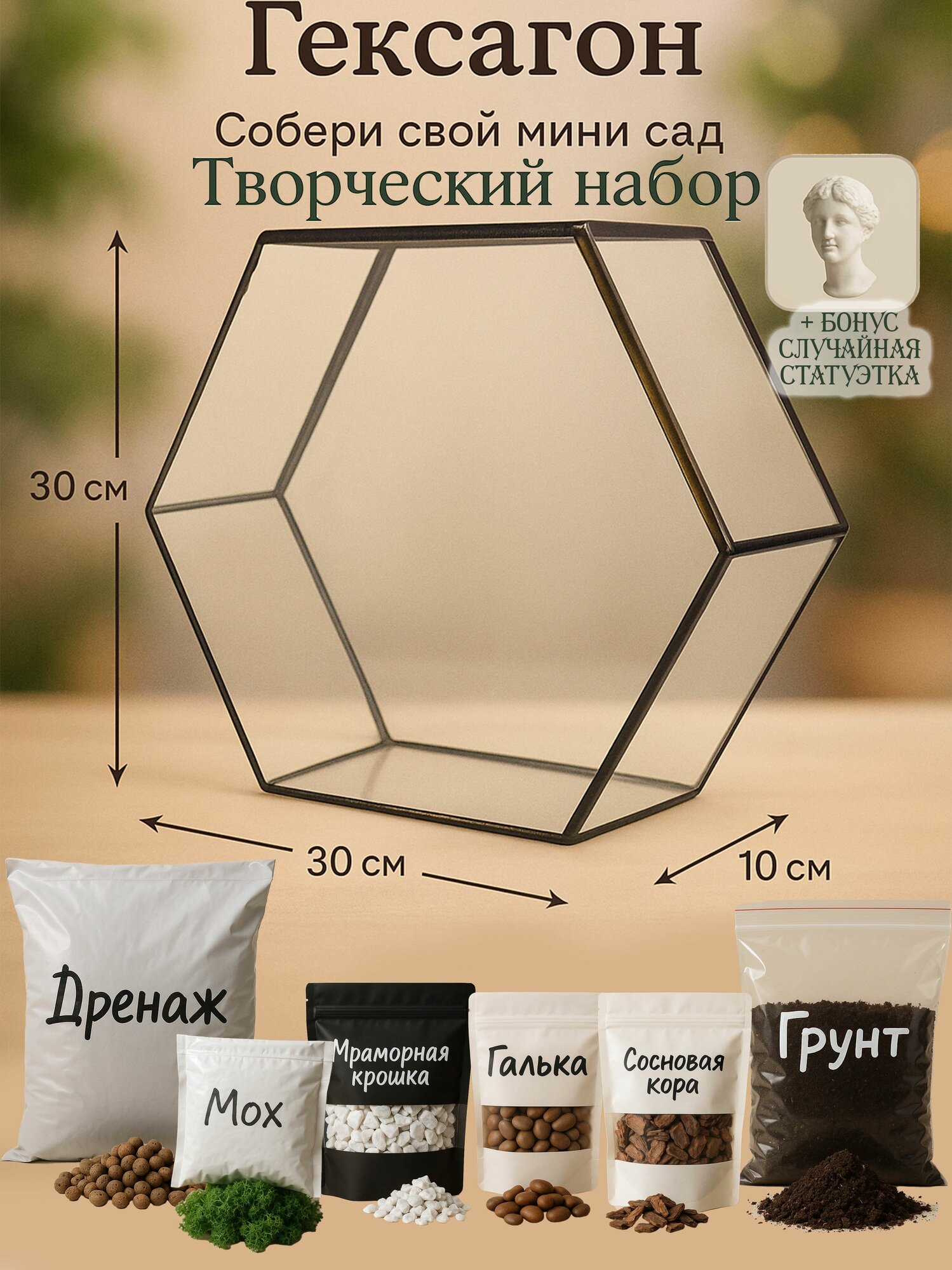 Набор для создания флорариума: форма Гексагон собери свой мини сад