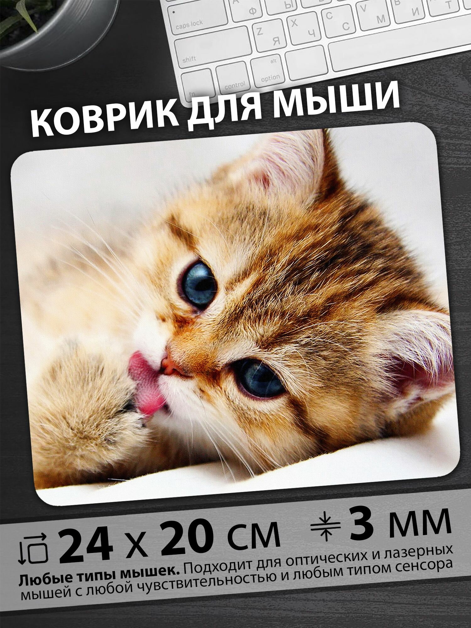 Коврик для мышки "Маленький пушистый котёнок с голубыми глазами облизывает лапку"