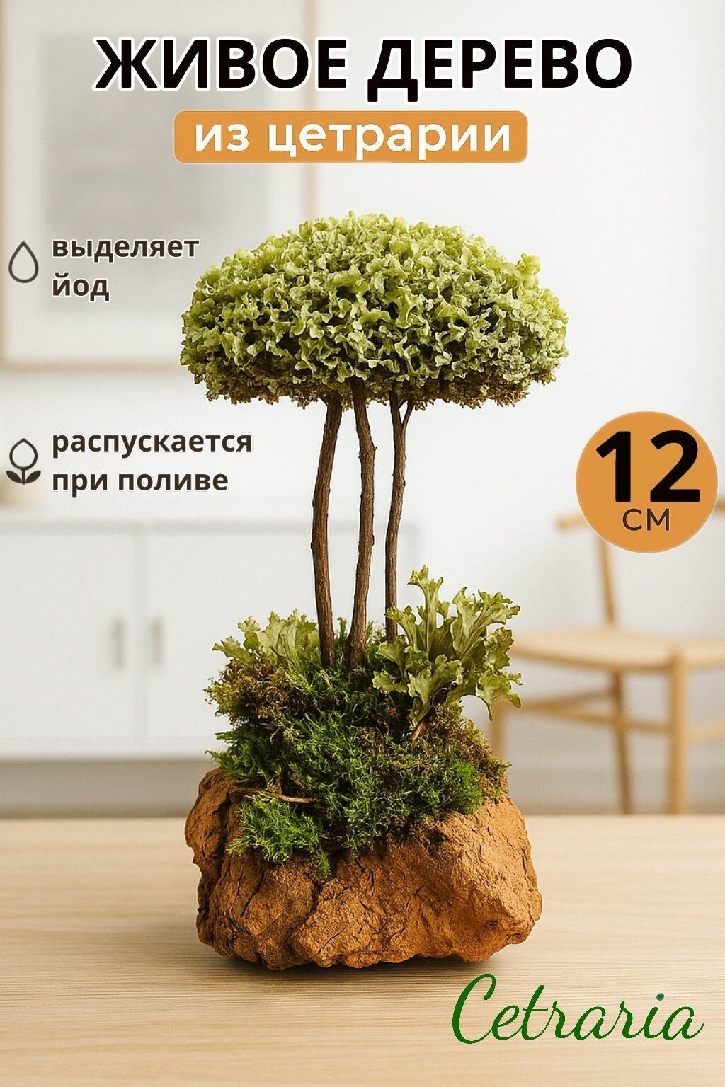 Деревце цетрария украшение настольное