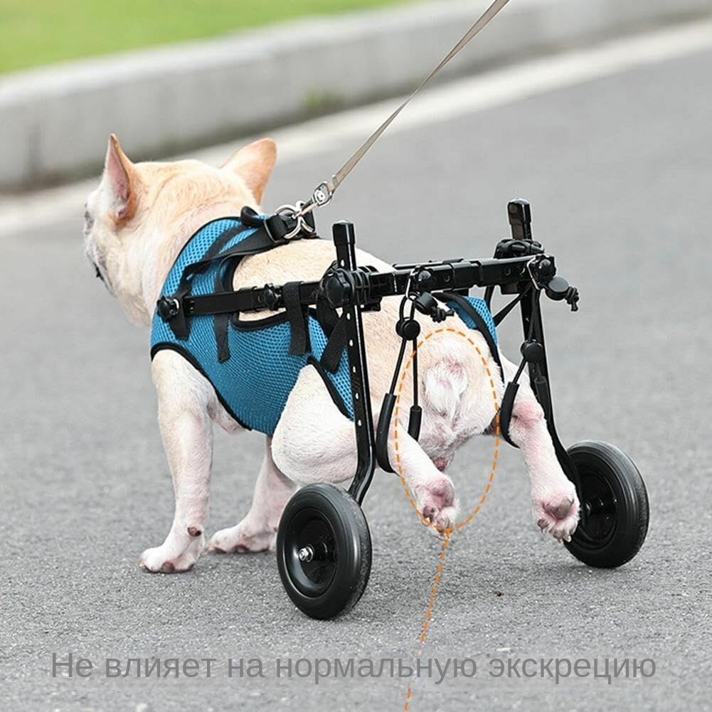 Инвалидная коляска для собак, Подходит для кошек Ходунки для собак, товары для животных-инвалидов Подходит для средних и маленьких пород,3 вида размеров можно регулировать, M-код