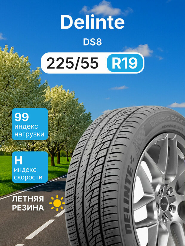 Летняя шина Delinte DS8 225/55 r19 99H
