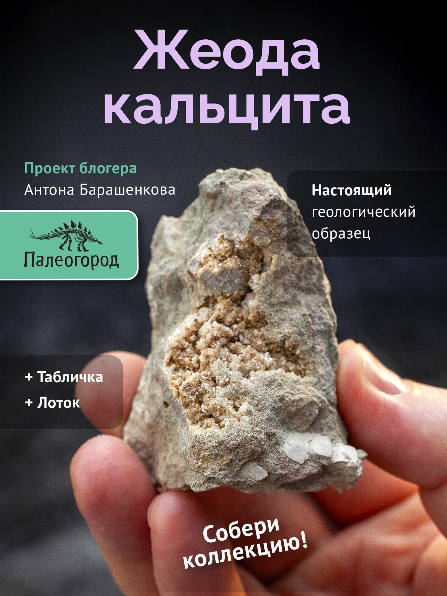 Жеода натурального кальцита №218. Кристаллы в ордовикском известняке, Россия. Природные минералы и камни, украшения и декор в интерьере.