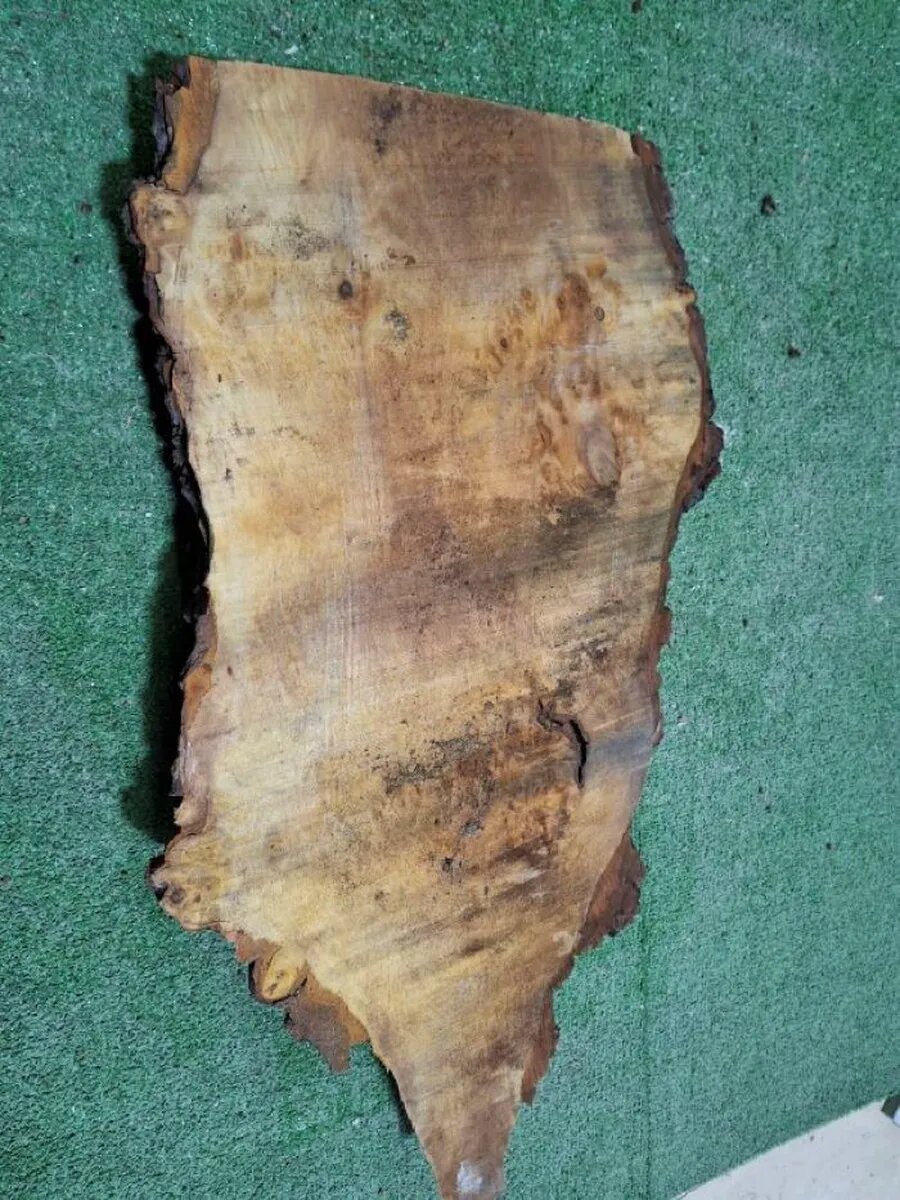 Слэб массив каповая ольха (630-360-70мм)