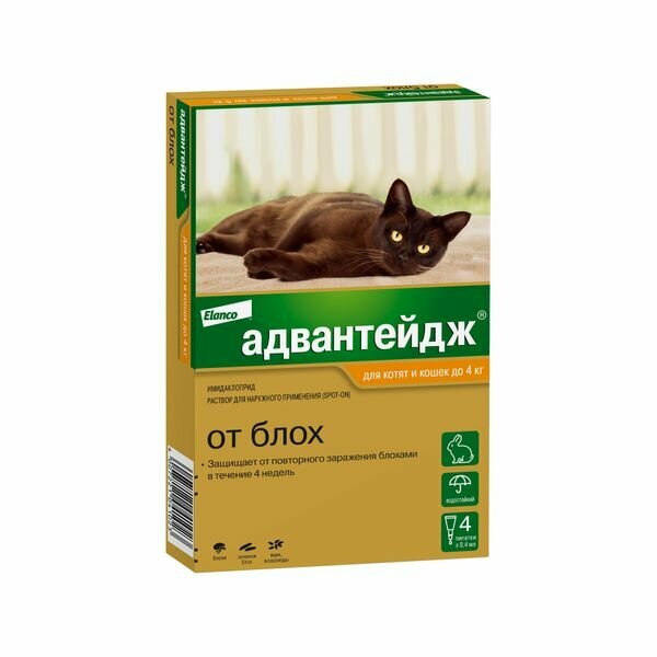Адвантейдж капли от блох для котят и кошек весом до 4кг пипетка 0,4мл 4шт