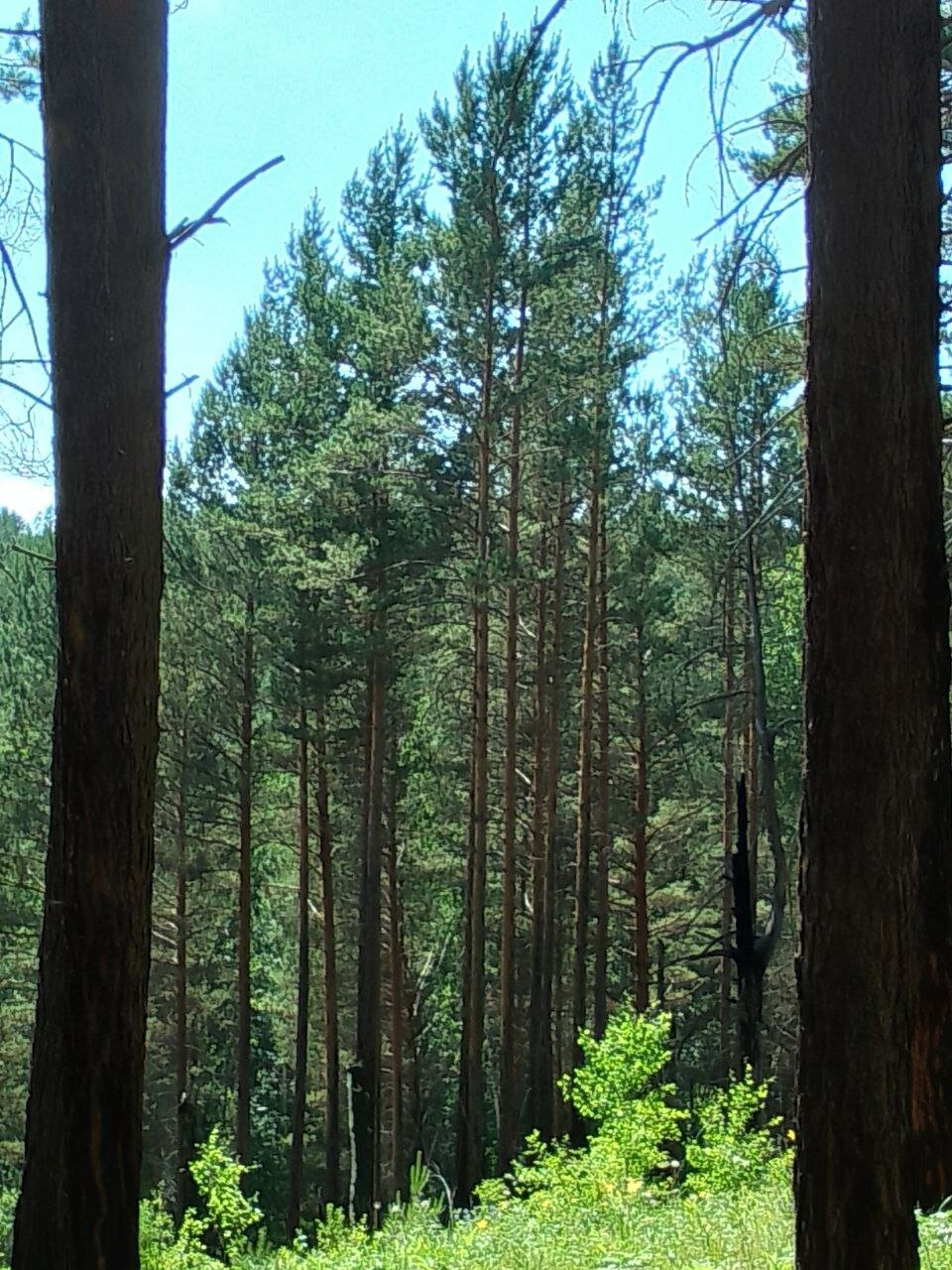 Фотокартина "Врата в Восточную Сибирь" 30*40 см, полиграфия, фотобумага