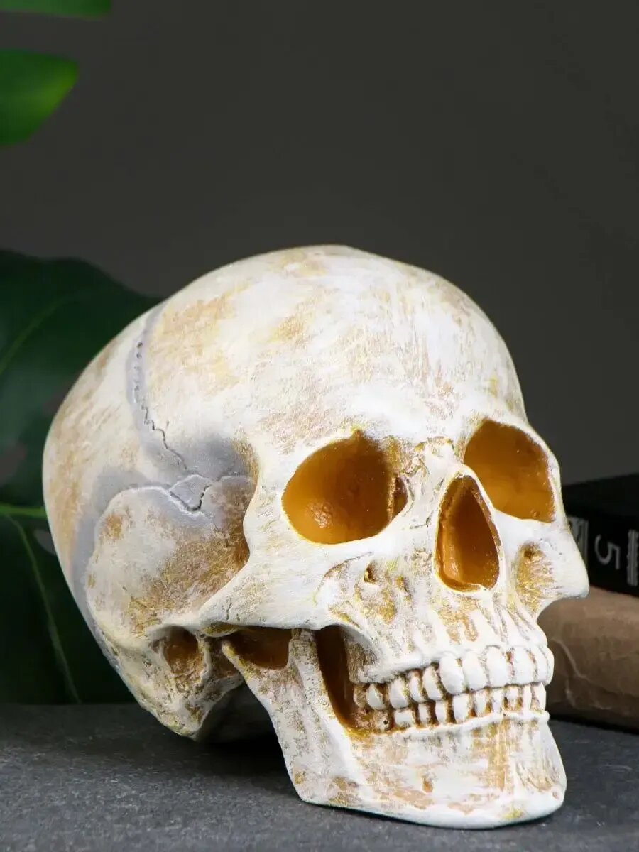 Копилка для денег Череп