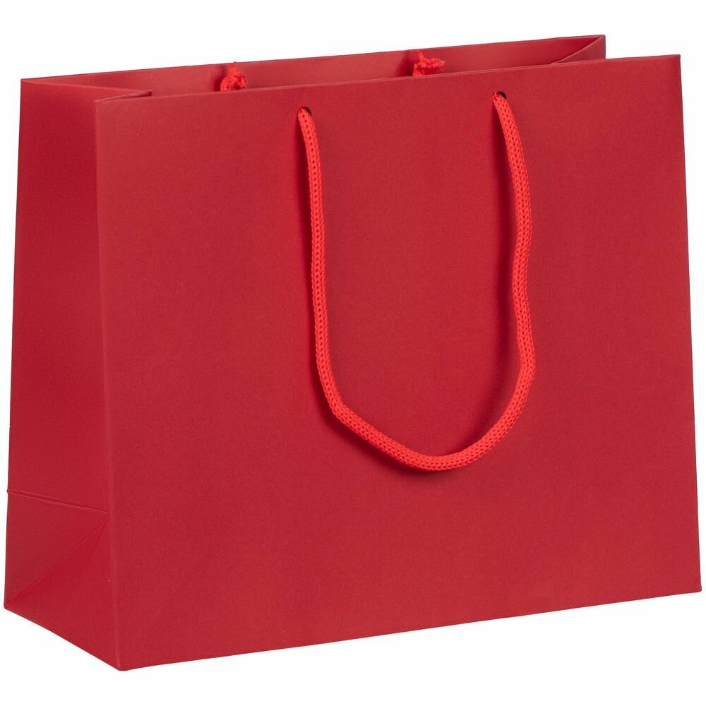 Пакет бумажный Ample Plus S, красный, 24x20x9,5 см