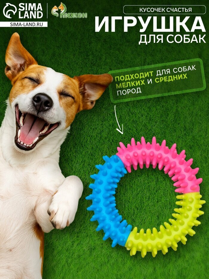 Жевательная игрушка для собак Кусочек счастья, 9.5 см