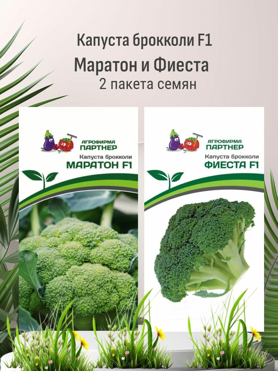 Капуста брокколи Маратон F1 и Фиеста F1 2 пакета