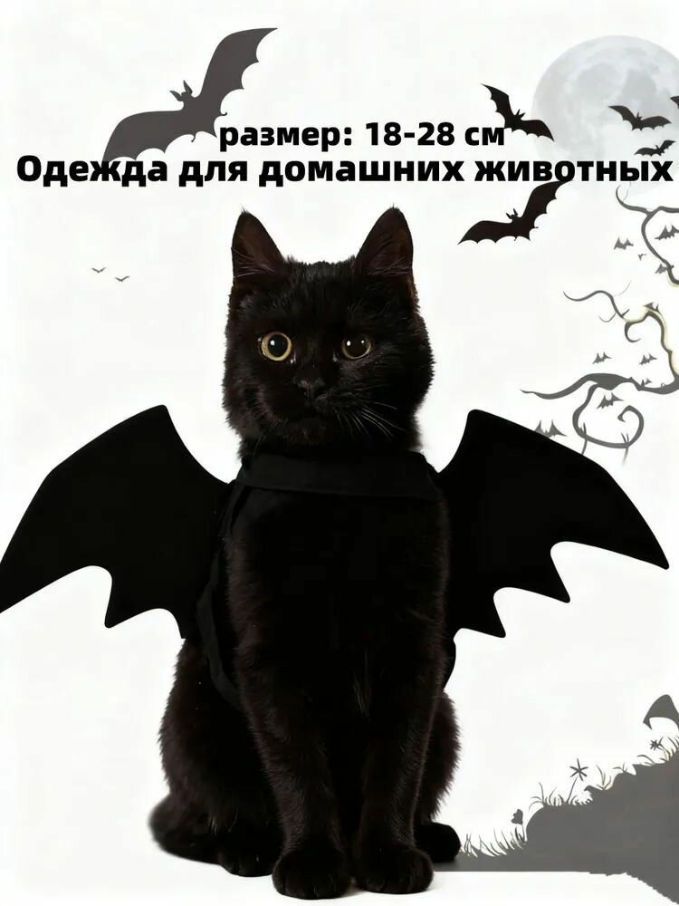 Милый костюм для кошек в форме крыльев летучей мыши/Костюм кошки на Хэллоуин