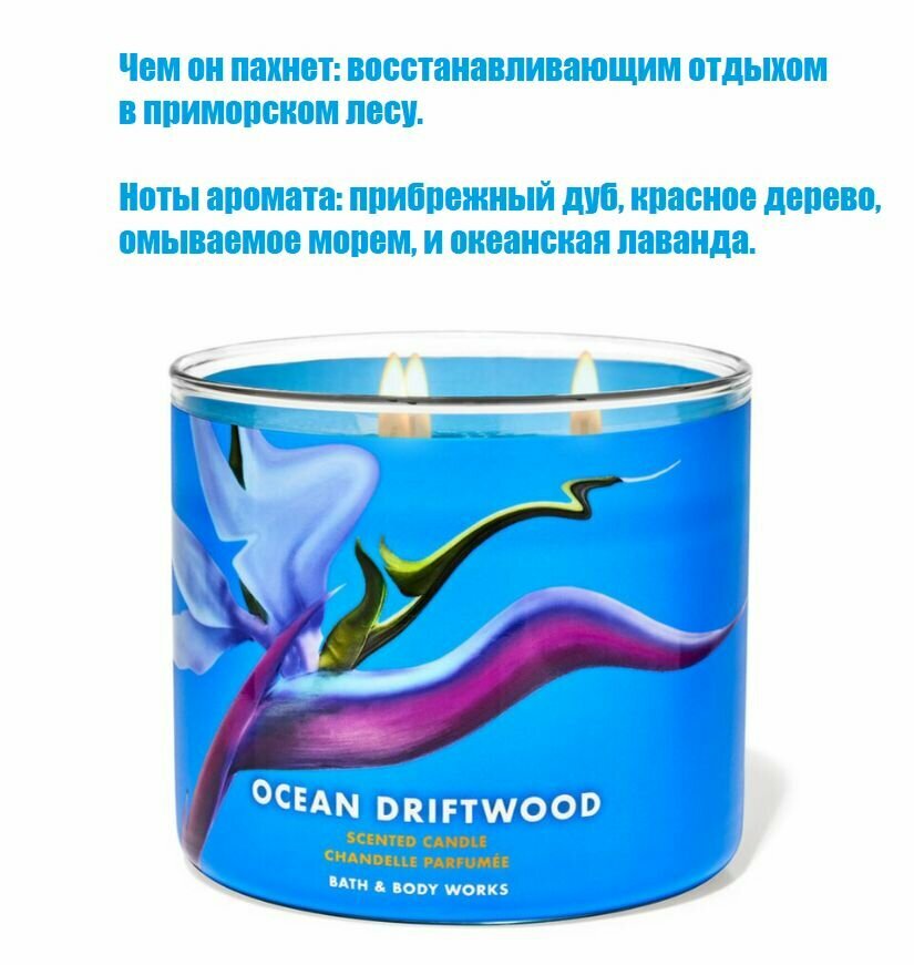 Bath and Body Works свеча ароматическая с 3-мя фитилями Ocean Driftwood (411 грамм)