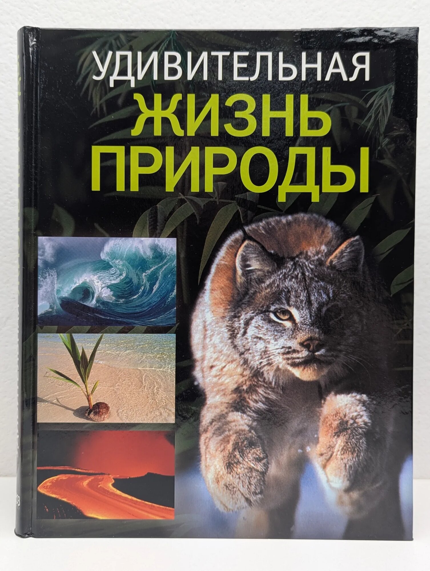Удивительная жизнь природы Альбуи Винсент, Буске Жан-Клод, Дане Фредерик 2009