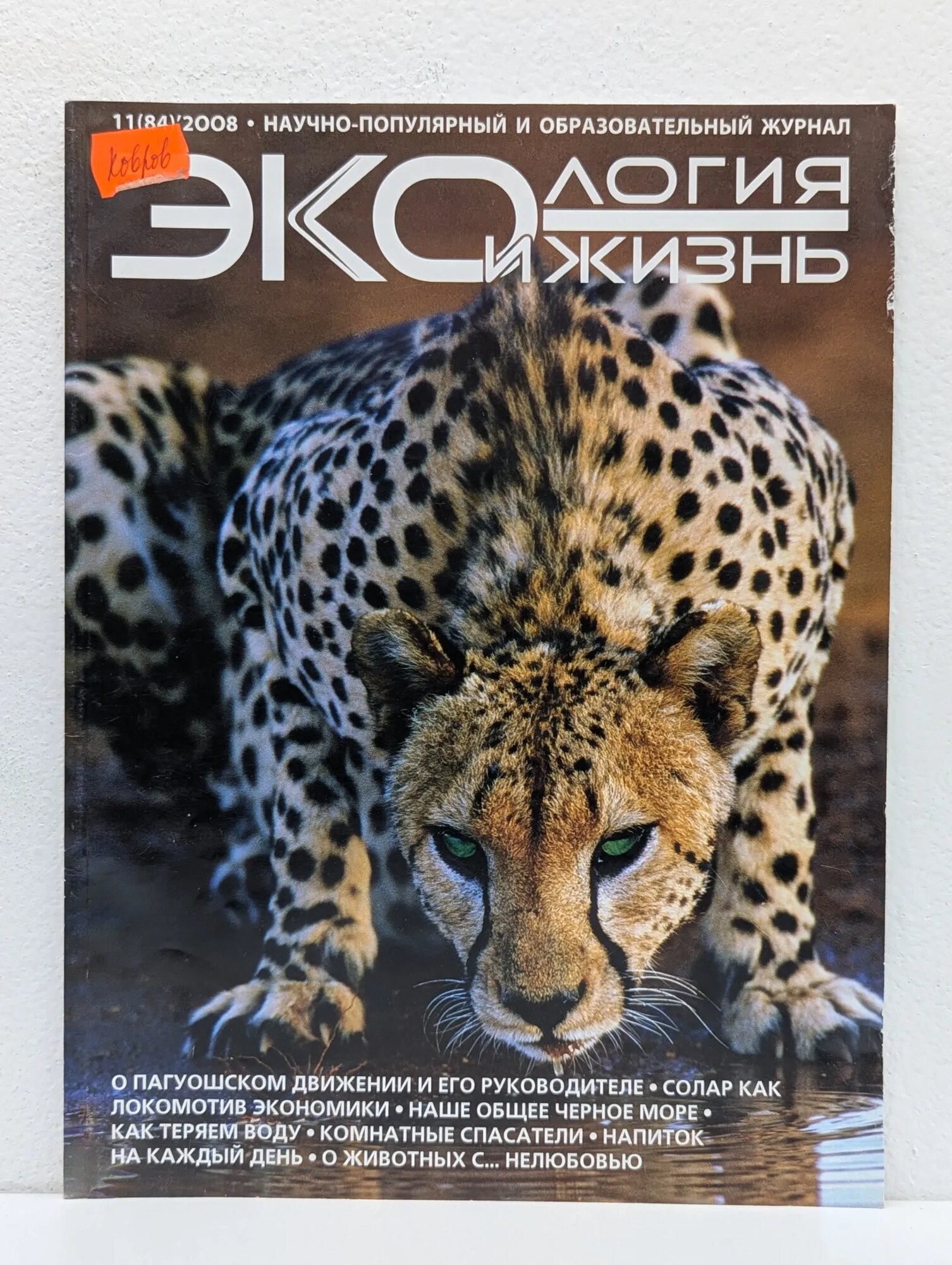 Экология и жизнь. Выпуск № 11(84)/2008 Самсонов А. Л. (ред.) 2008