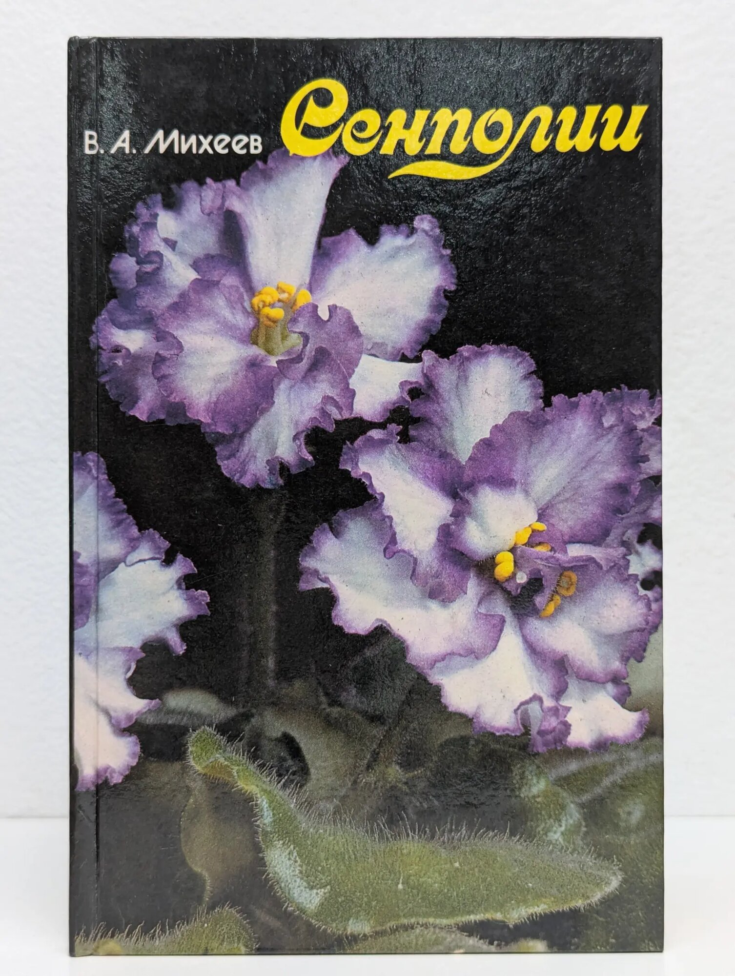 Сенполии Михеев Владимир Алексеевич 1993