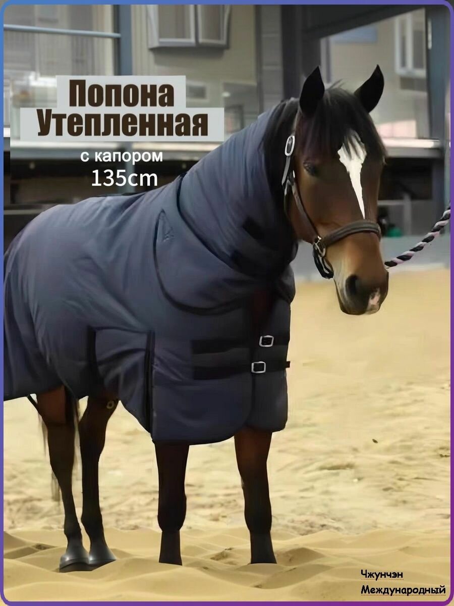 Попона для лошади попона для лошади утепленная, водонепроницаемая Случайный цвет айная доставка) tingzi